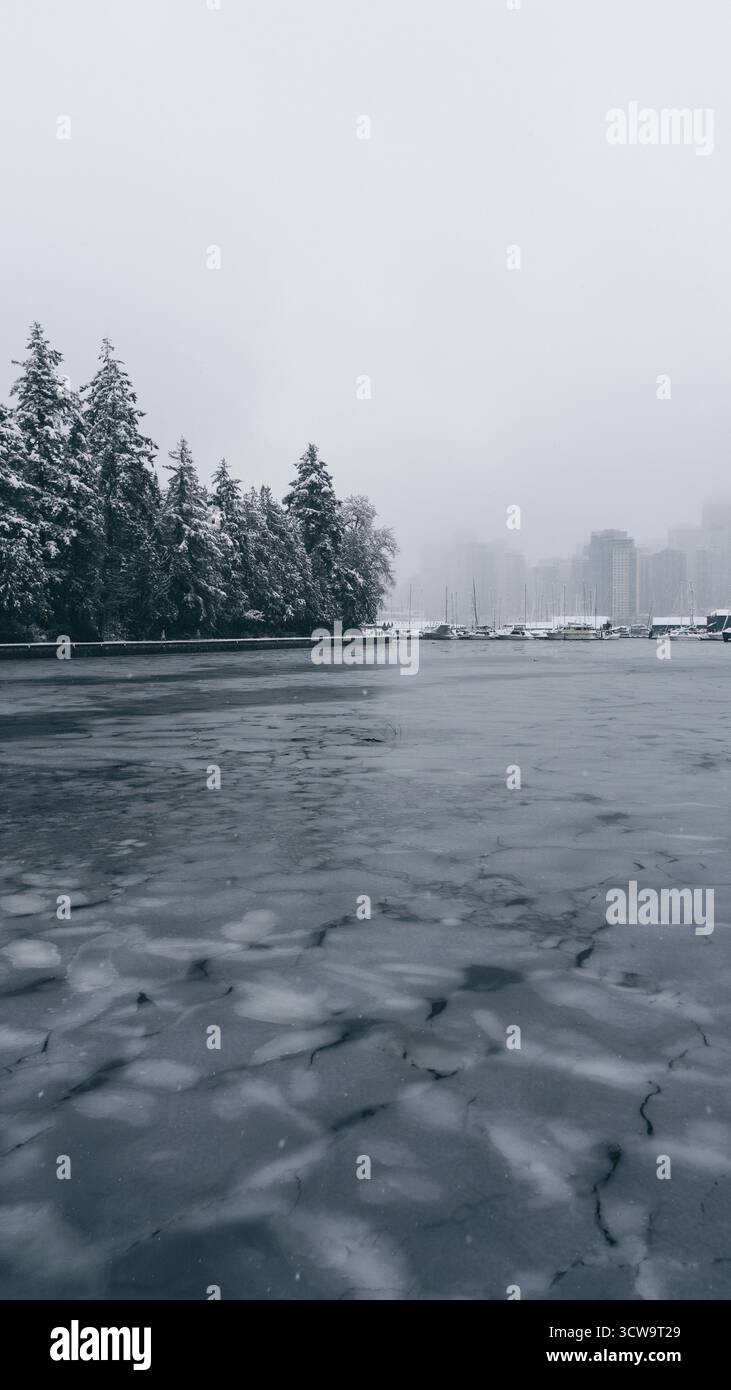Snow covers trees along the waterfront while a layer of ice forms over ...