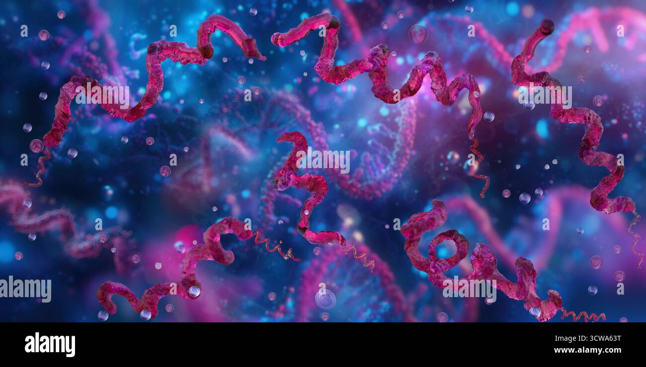 Campylobacter bacteria, illustration. Campylobacter is a genus of Gram ...