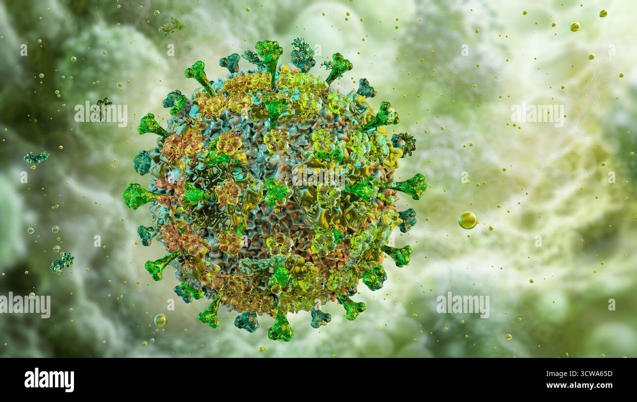 Lassa virus, illustration. Lassa virus is an enveloped, single-stranded ...