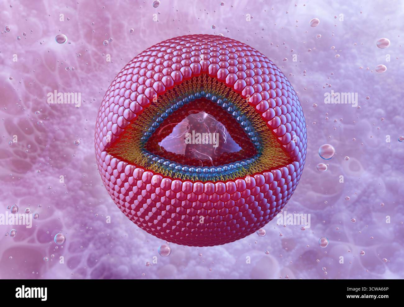 Liposome, illustration. A liposome is a spherical vesicle with at least ...