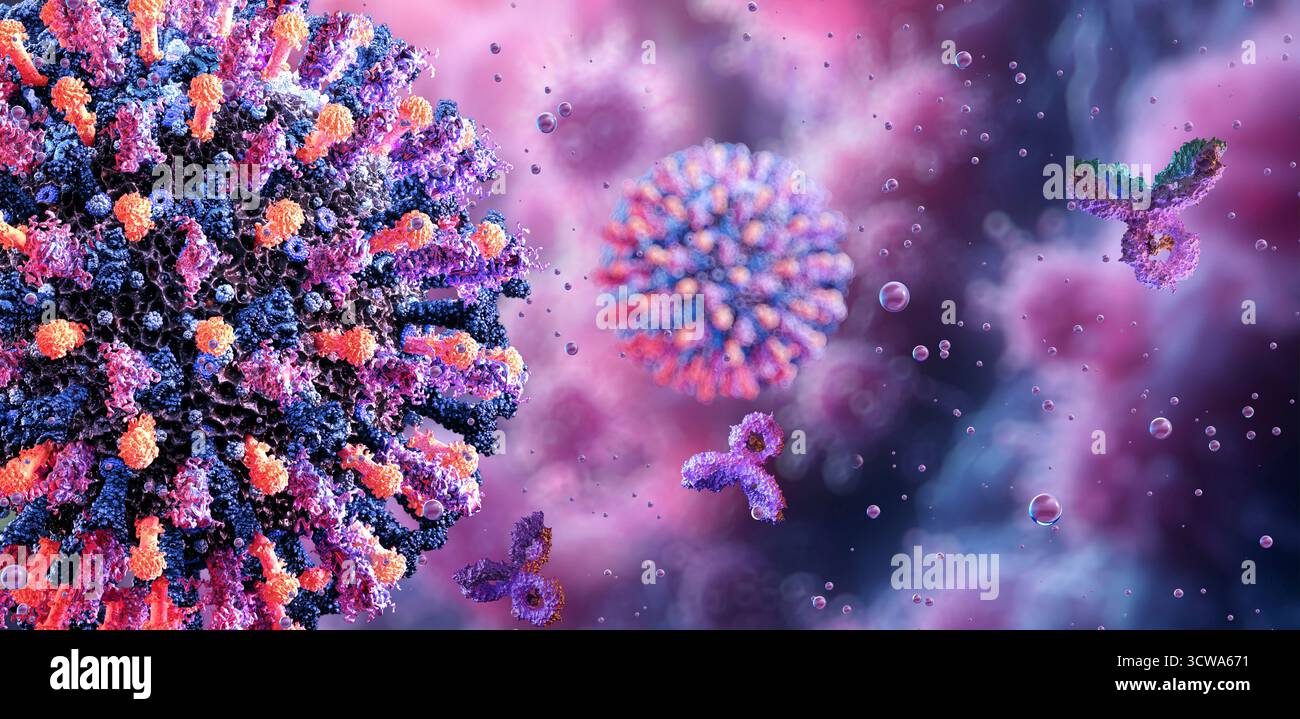 Human metapneumovirus, illustration. Human metapneumovirus is a single ...
