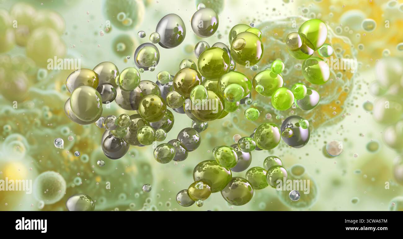 Genus saccharomyces hi-res stock photography and images - Alamy
