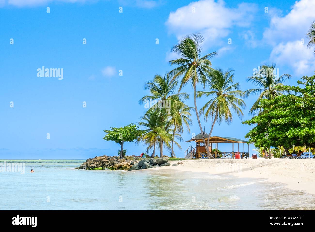 The pristine white sandy beach and calm blue waters of Pigeon Point ...