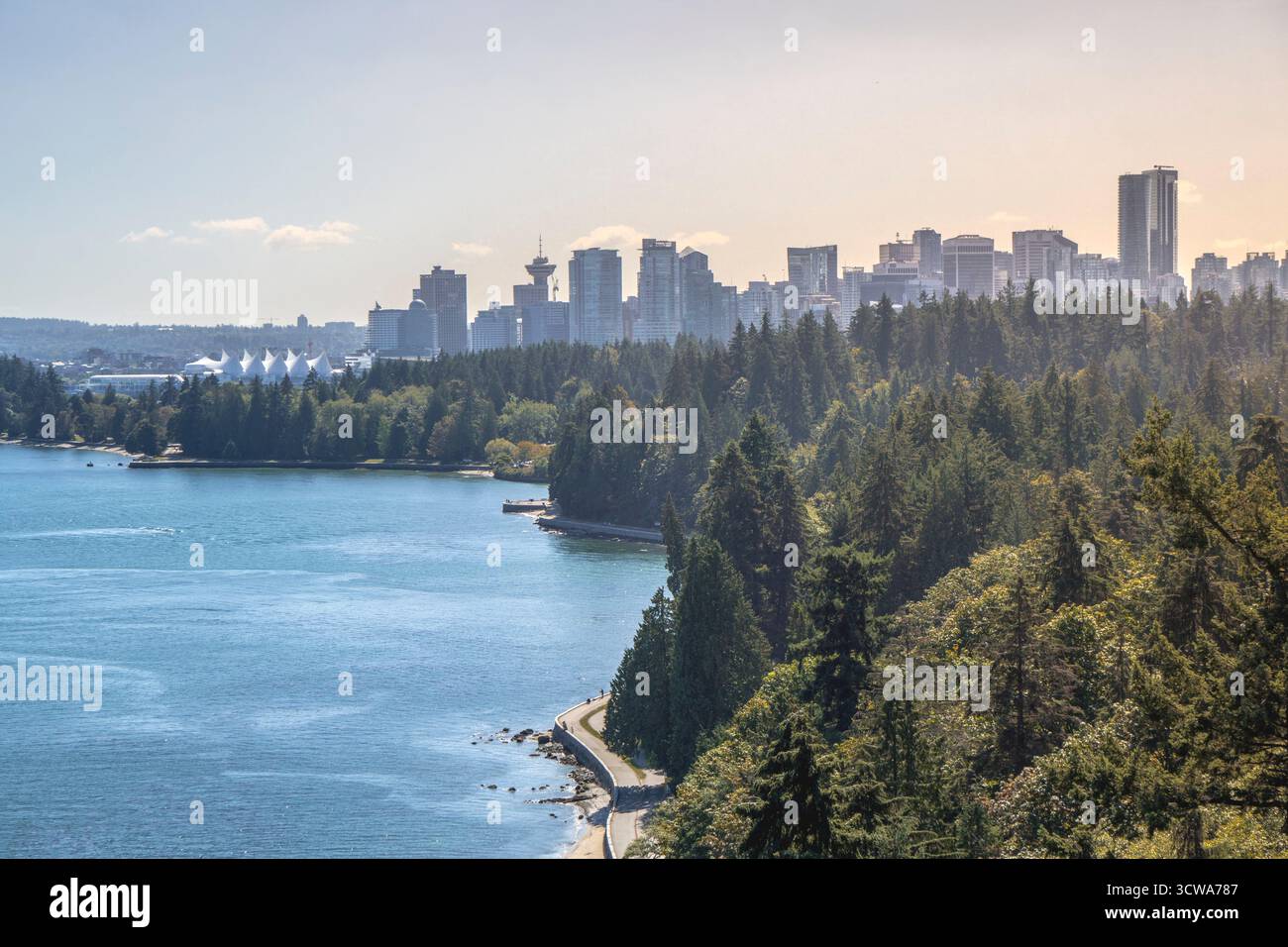 Trees along shoreline reflect hi-res stock photography and images - Alamy