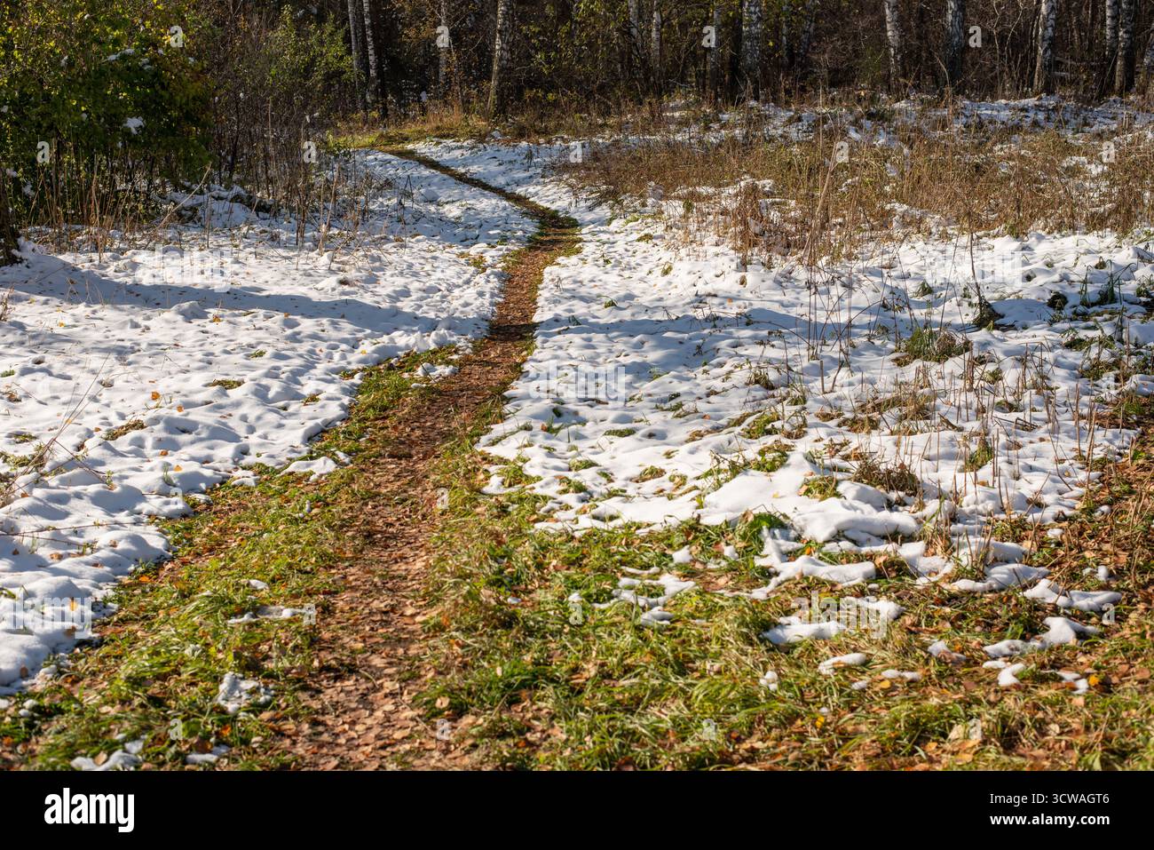 Snowy Path Through the Woods in Early Winter Stock Photo - Alamy