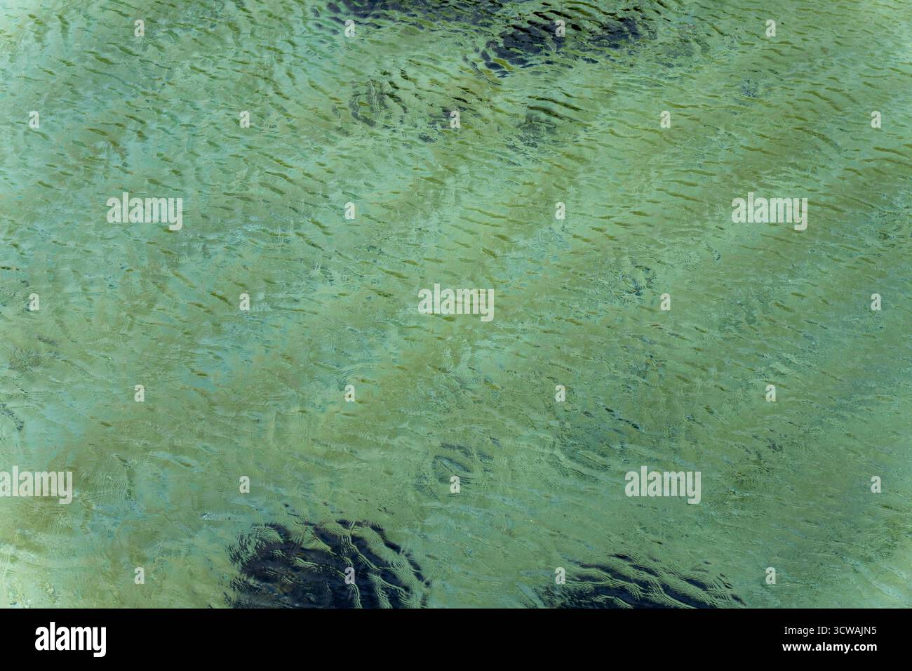 Aerial view of shallow coastal waters near Monterey Bay, showing ...