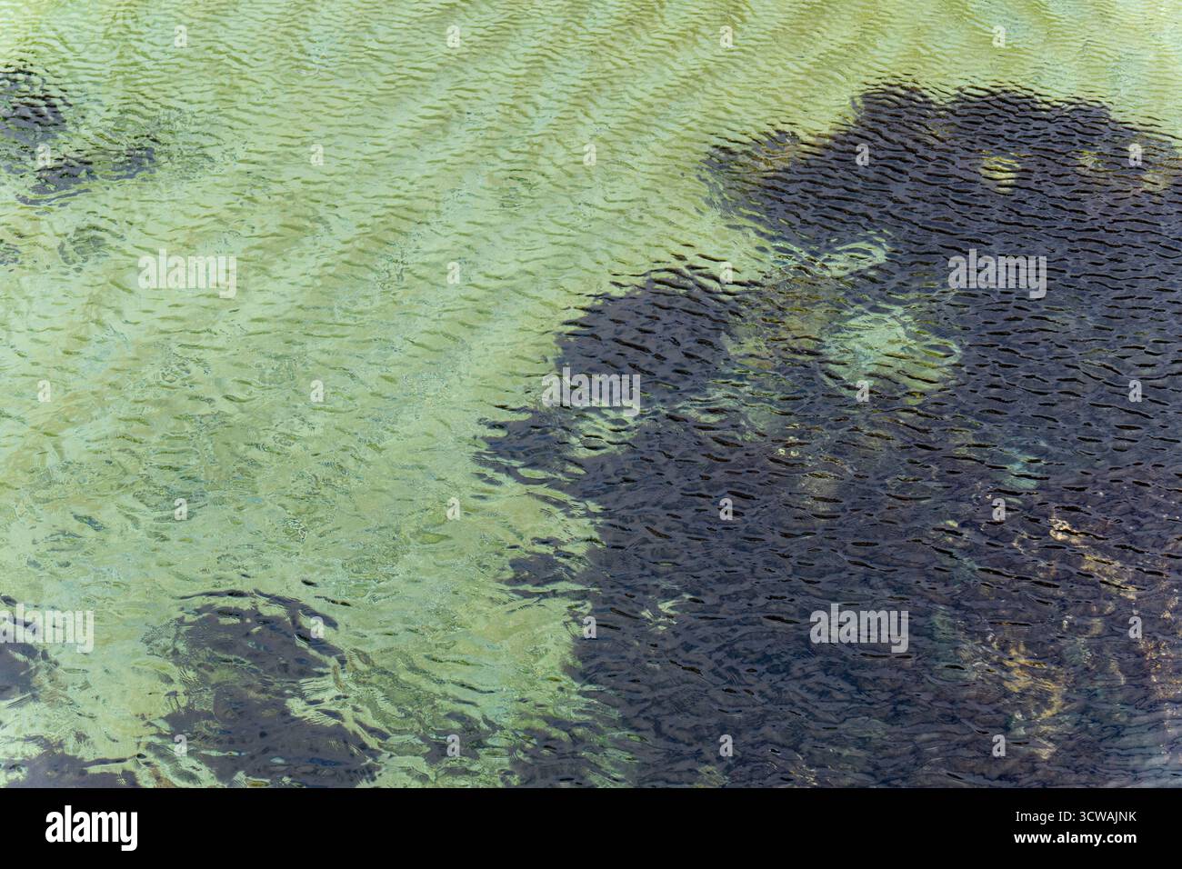 Aerial view of shallow coastal waters near Monterey Bay, showing ...