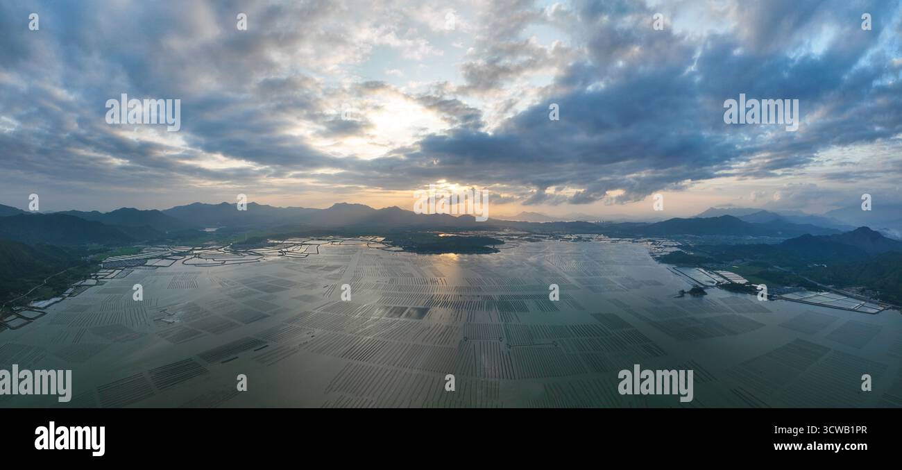 Yanzhou marine wetland park hi-res stock photography and images - Alamy