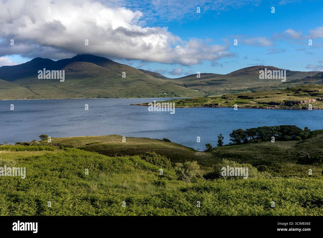 Mull; Loch na Keal; Scotland; UK Stock Photo - Alamy