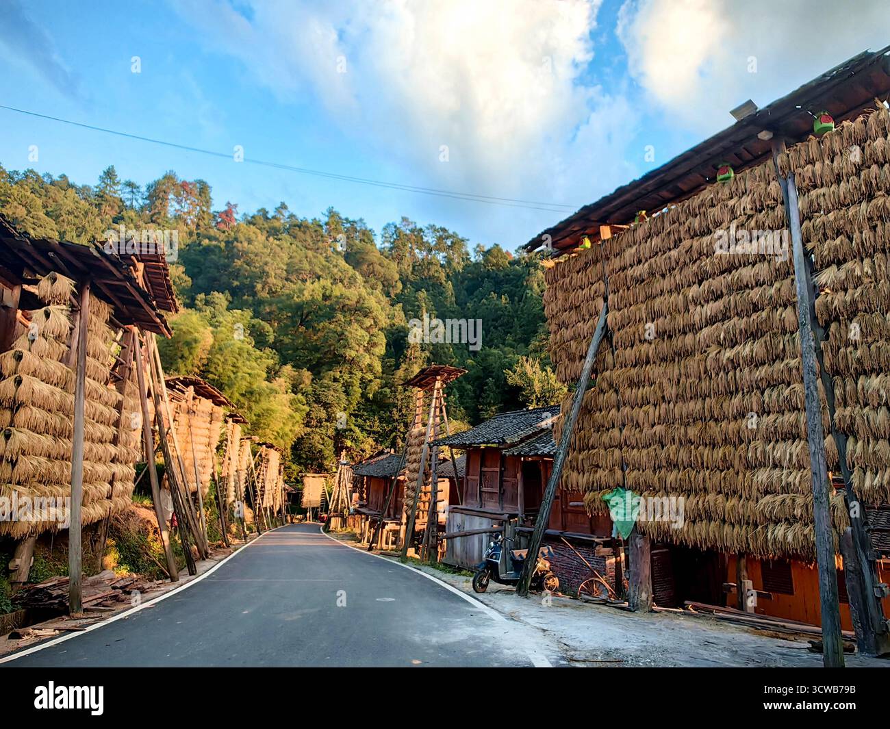 Villagers dry crops in autumn in Congjiang County, Qiandongnan Miao and ...