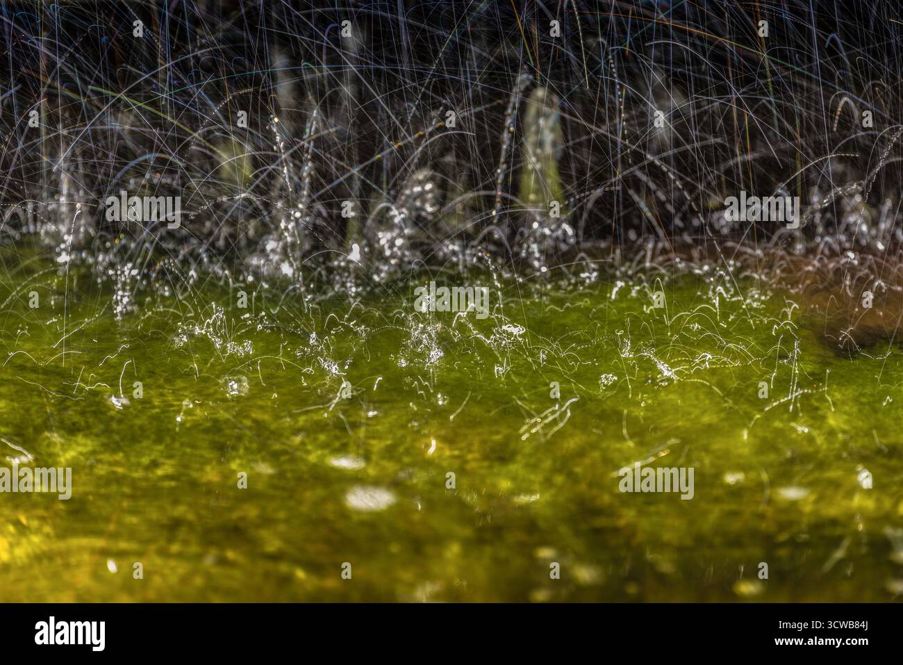 Water glaze hi-res stock photography and images - Alamy