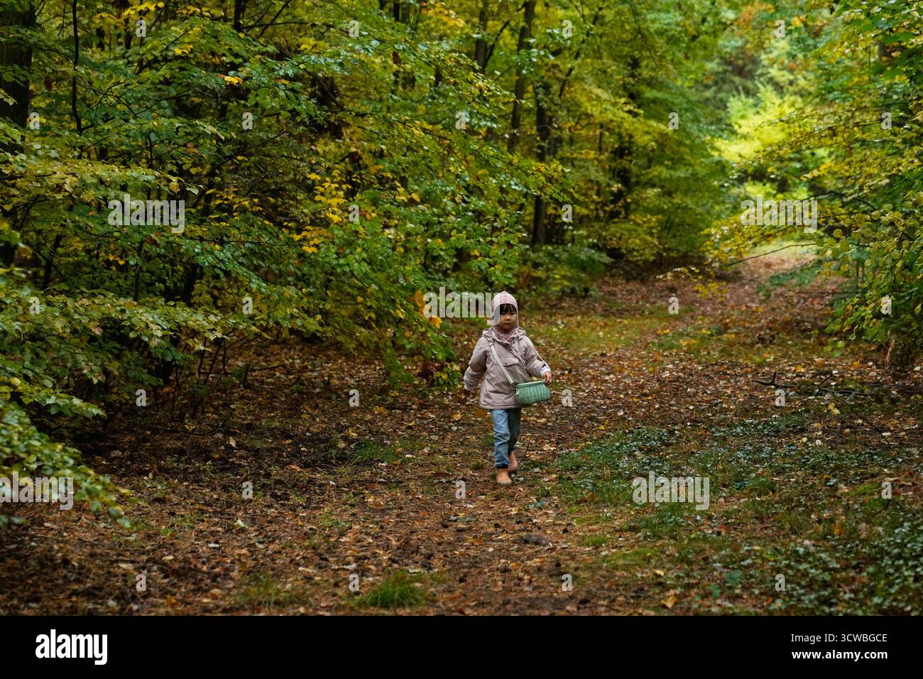 Angela Zhu 5, who is on a mushroom hunting trip with her parents ...