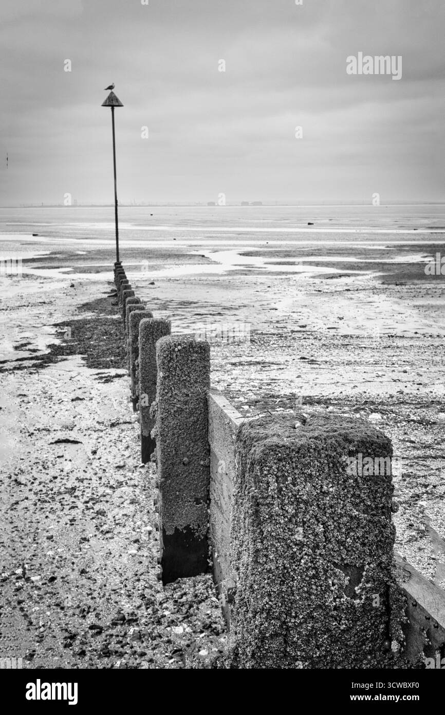 Groyne and Marker at Thorpe Bay during Low Tide Stock Photo - Alamy