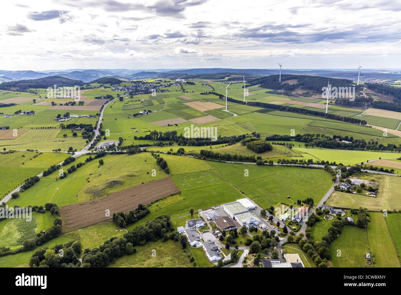 Aerial view, wind turbines, forest damage, Aamuehlen, landscape ...