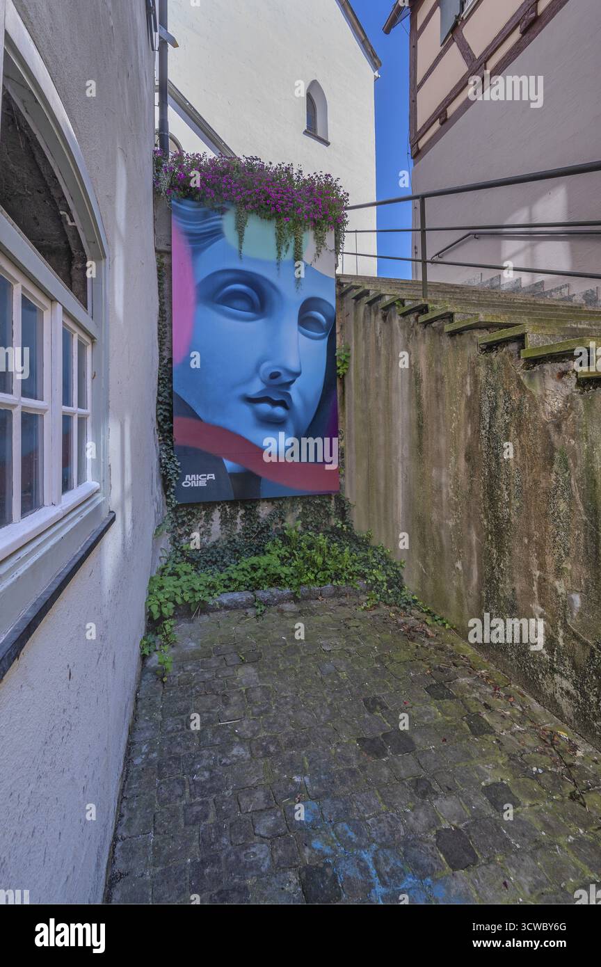 Graffiti by the artist MIKA ONE, street art project, Leutkirch, Allgaeu ...