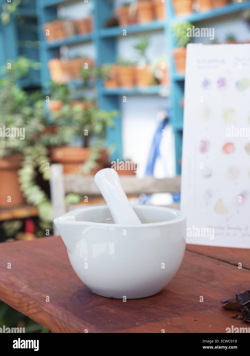 White mortar and pestle on wooden table with color chart and blurred ...