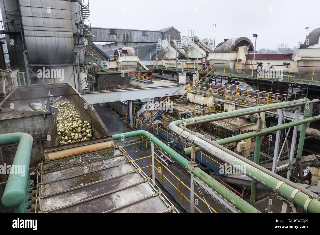 Sugar factory - Stages of the production process for extracting sugar ...
