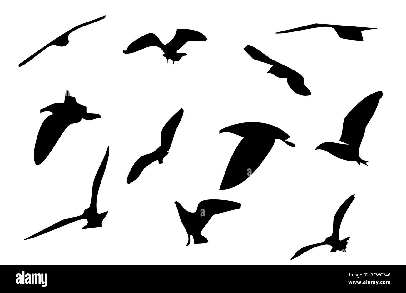 Birds flying seagulls with wild animals with nature and wings Stock ...