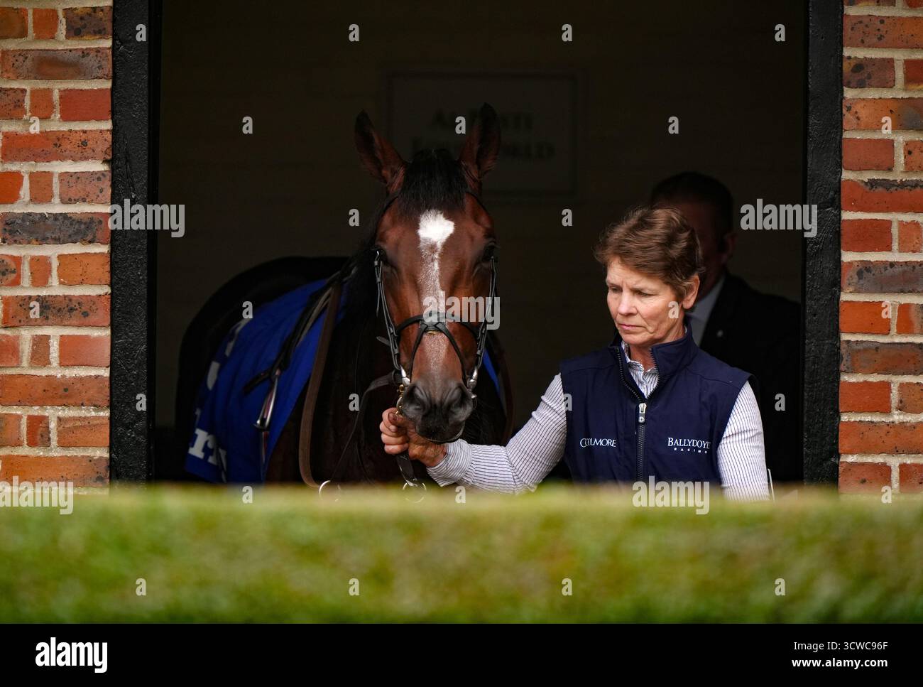 Toritop in the pre-parade ring during the Dubai Future Champions Day at ...