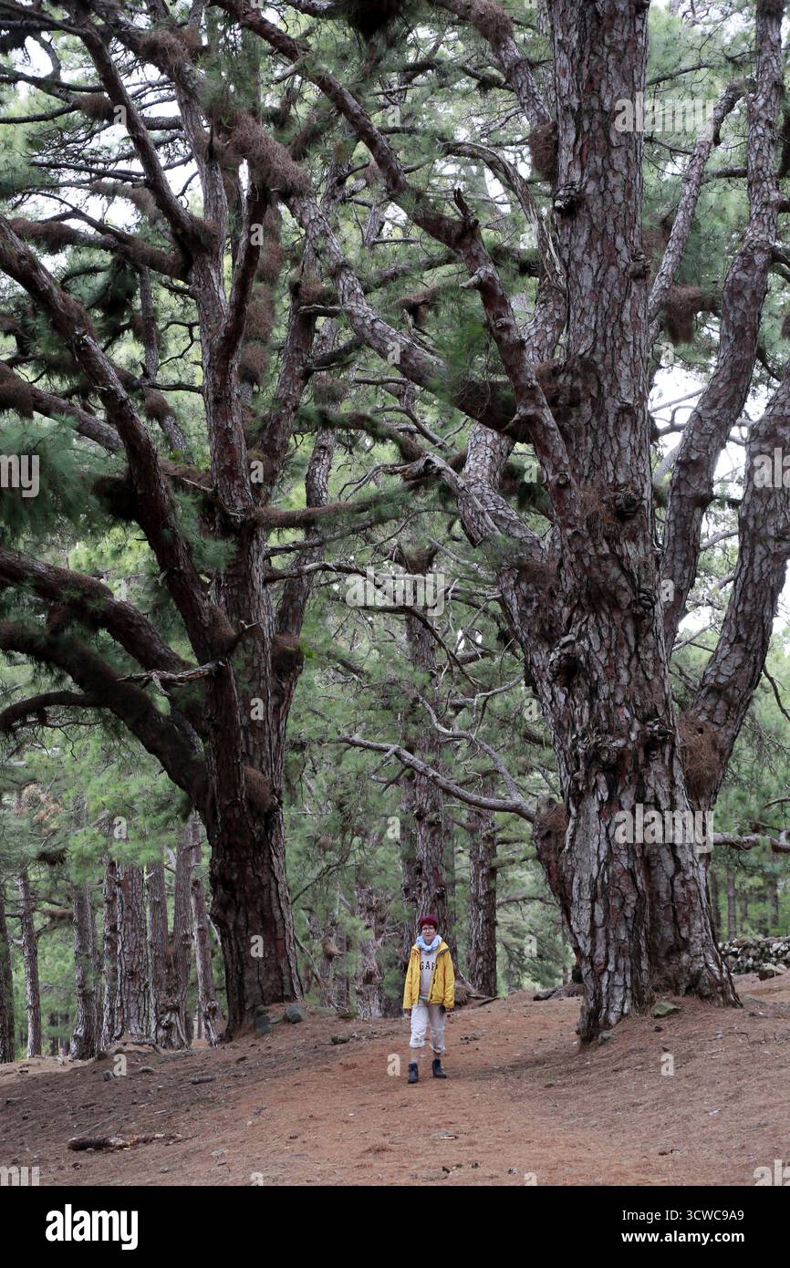 Hike from the Cumbrecita viewpoint in Taburiente National Park to the ...