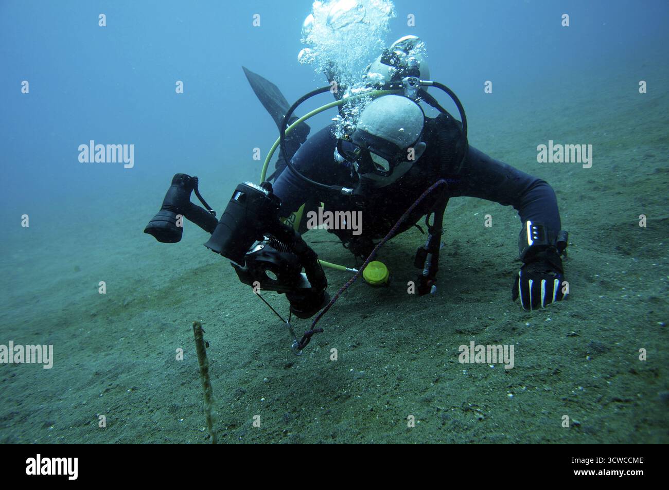Underwater photographer takes a picture of a sea pen, Panaon Island ...