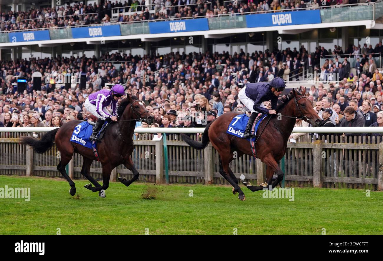 Pierre Bonnard ridden by Christophe Soumillon wins the Night Of Thunder ...