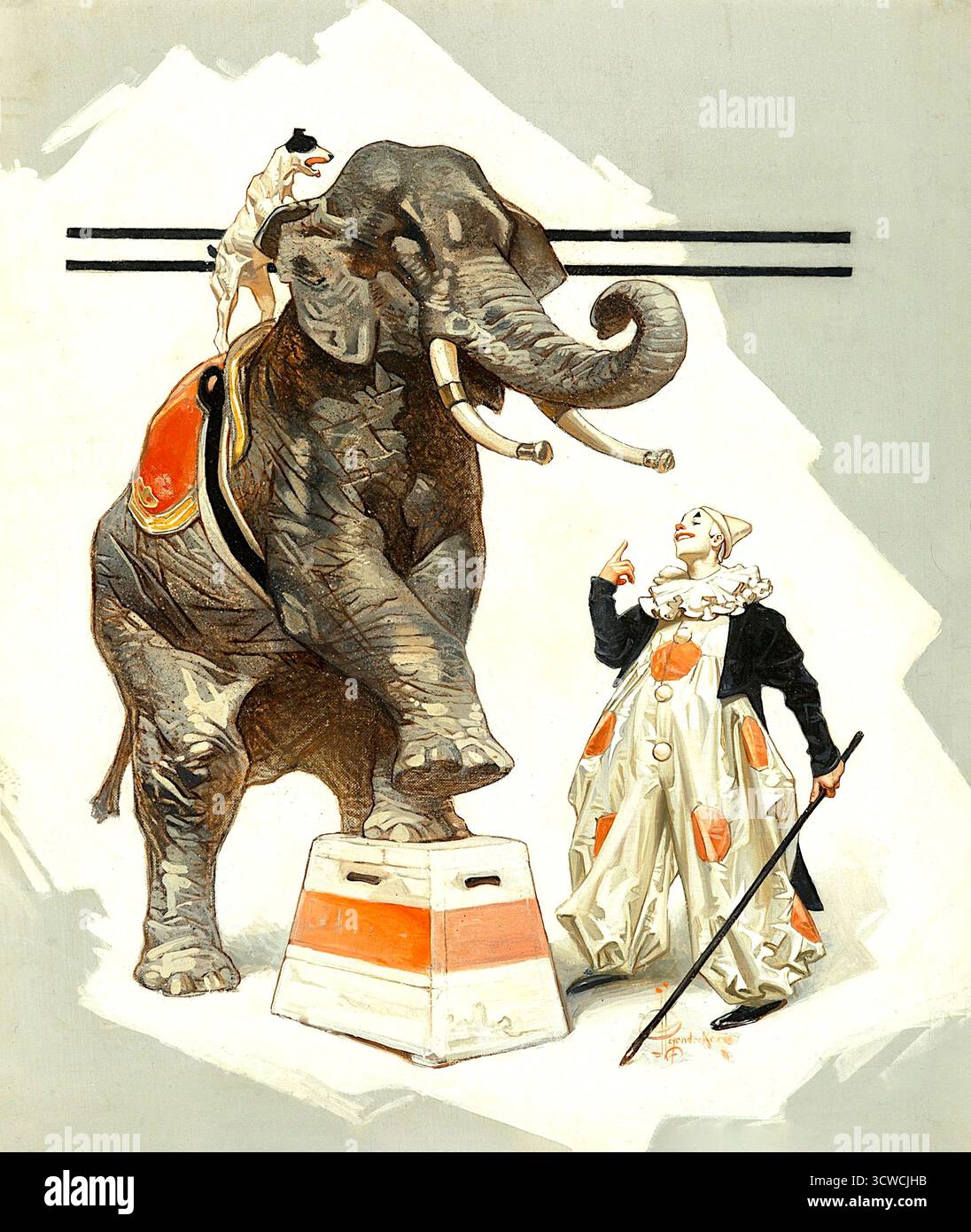 Elephant in white back ground hi-res stock photography and images - Alamy