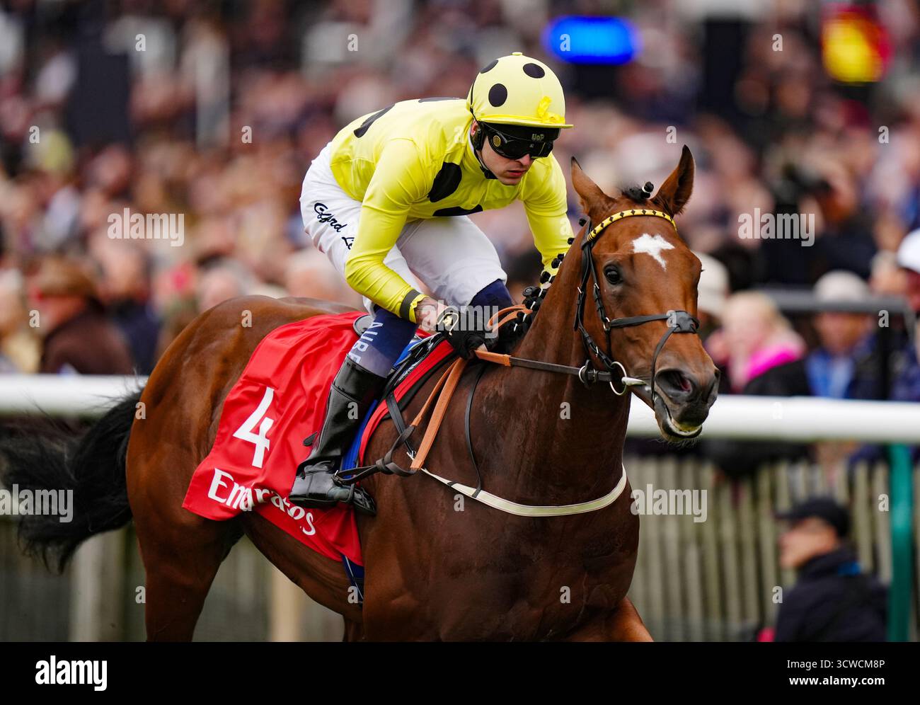 Hankelow ridden by Clifford Lee wins the Emirates Autumn Stakes during ...