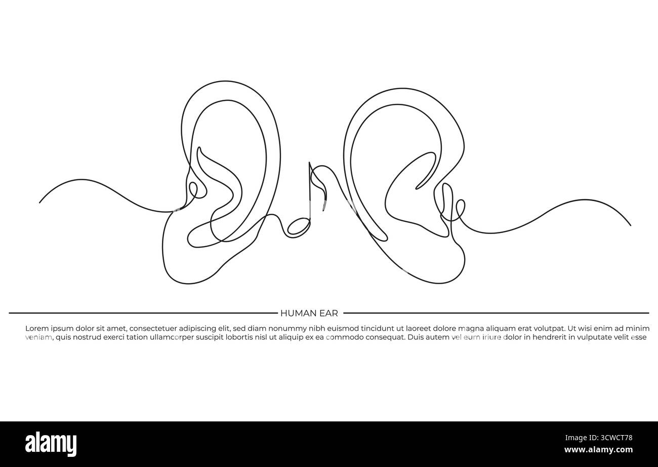 One-line drawing of a human ear,Single Line Ear Outline,Ear in One Line ...