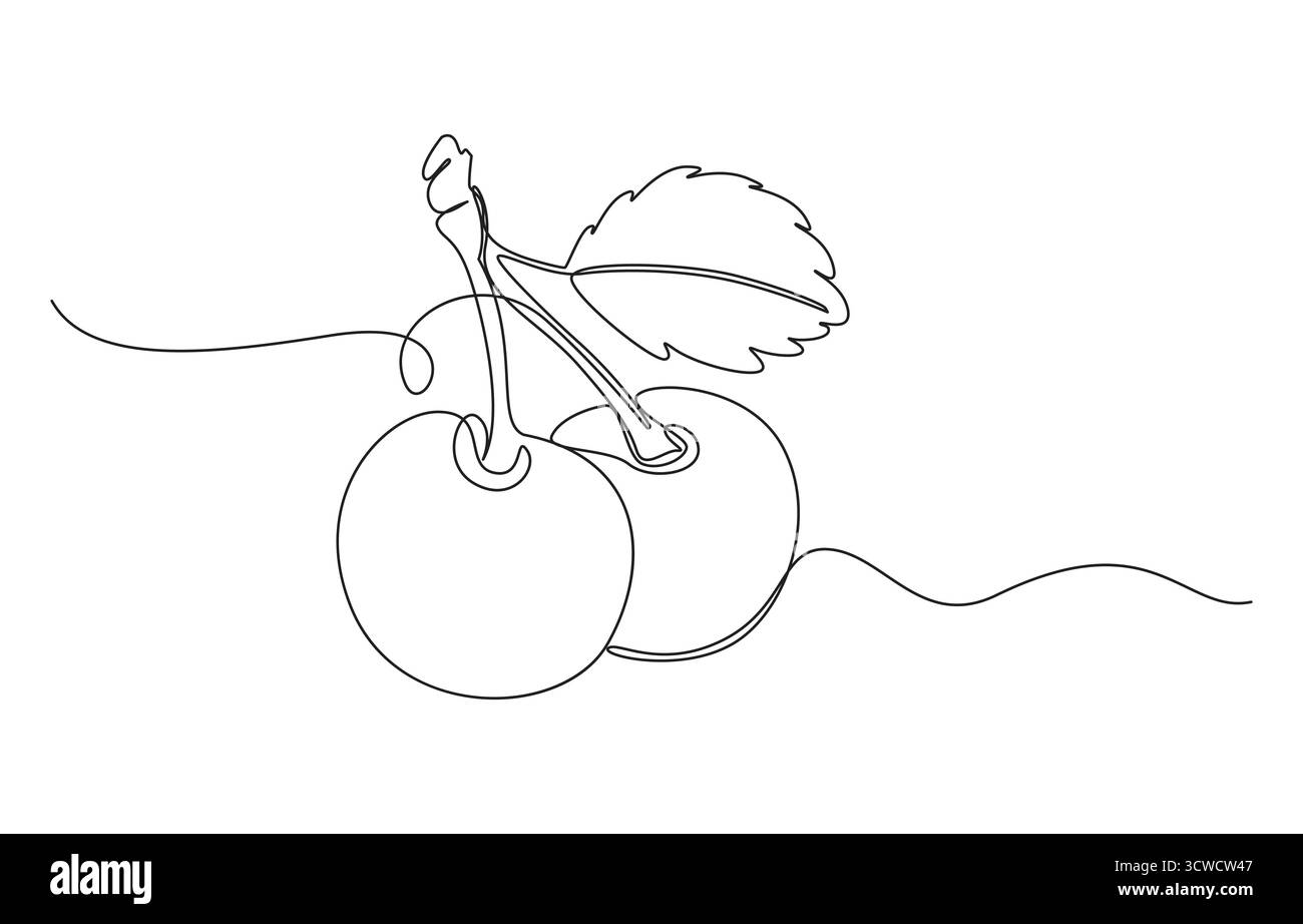 Line drawing of three cherries with leaves, one sliced open,Two ...