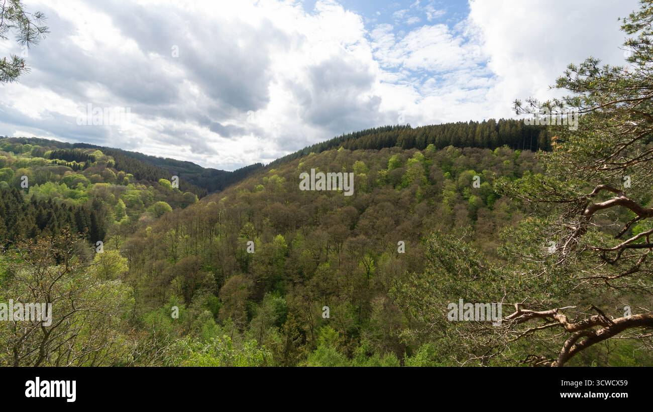 The Nature around Monschau in the german Eifel - Green Hell Stock Photo ...