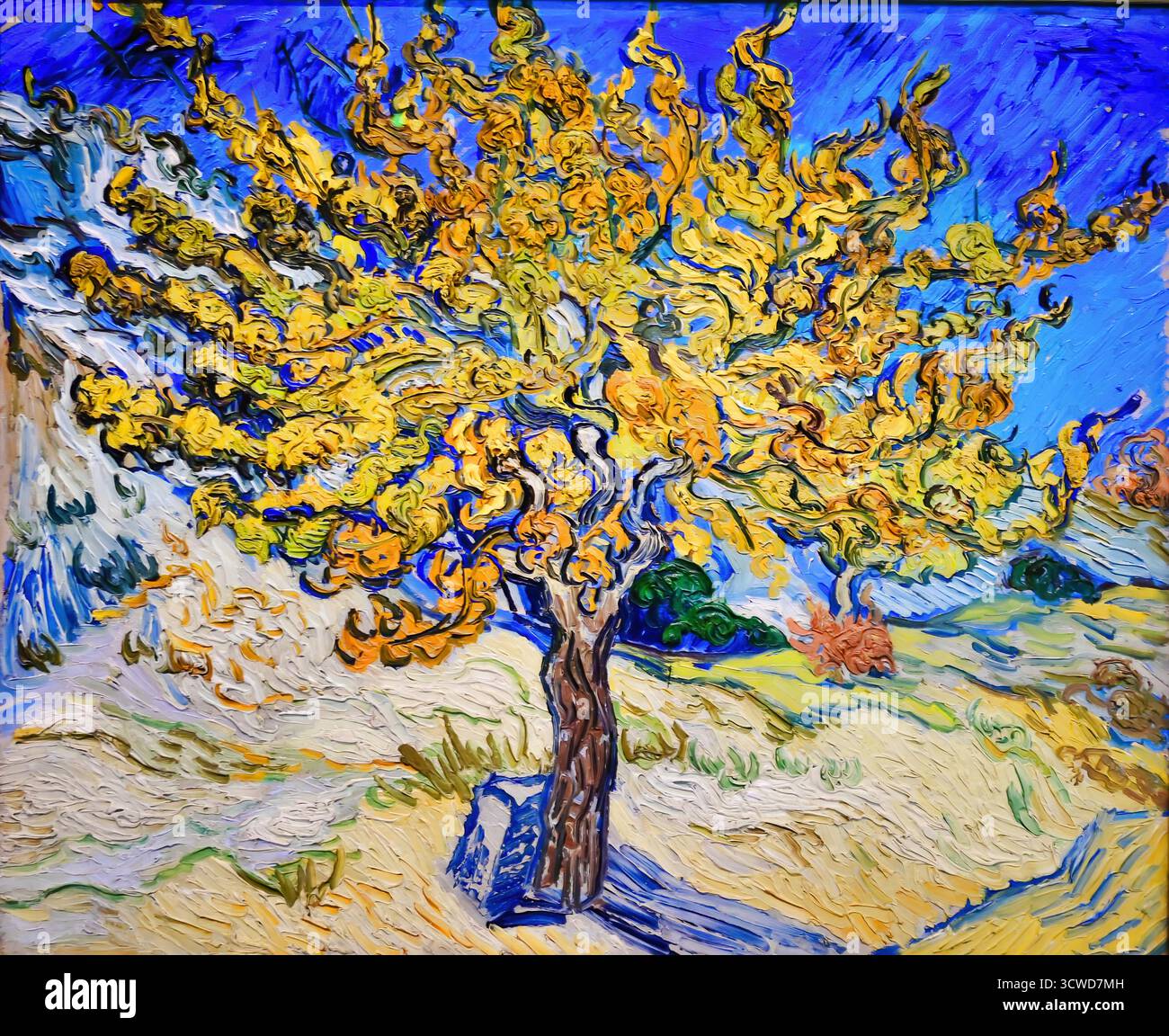 Heritage canvas Stock Vector Images - Alamy