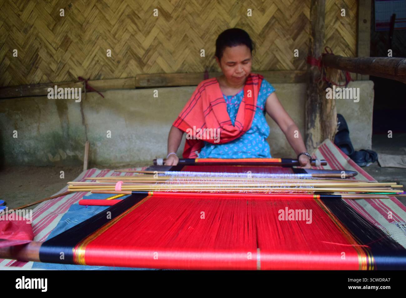 Chakma Women Weaving Traditional Dress “Pinon Hadi” — Cultural Handloom ...