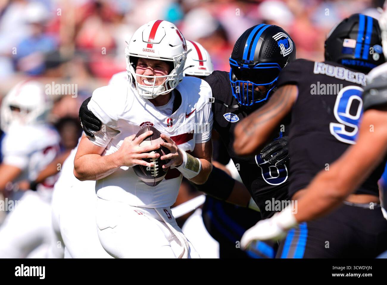 Stanford quarterback Ben Gulbranson (15) is sacked by SMU defensive ...