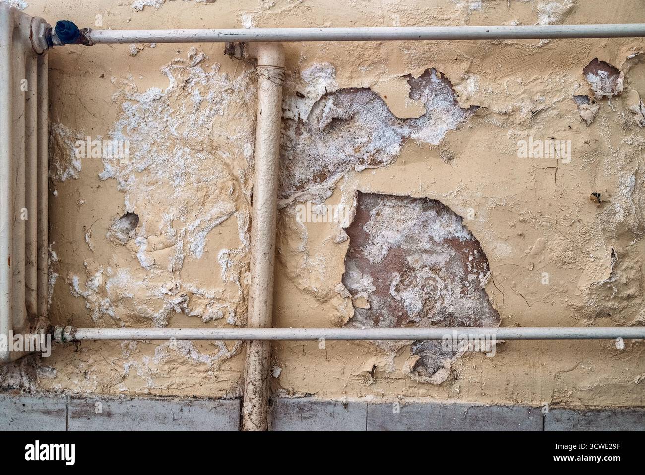 Mold and damp damage with large stains and peeling plaster on interior ...