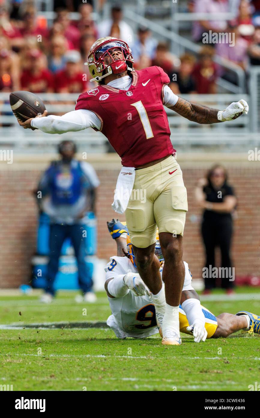 Florida State quarterback Tommy Castellanos (1) eludes Pittsburgh ...