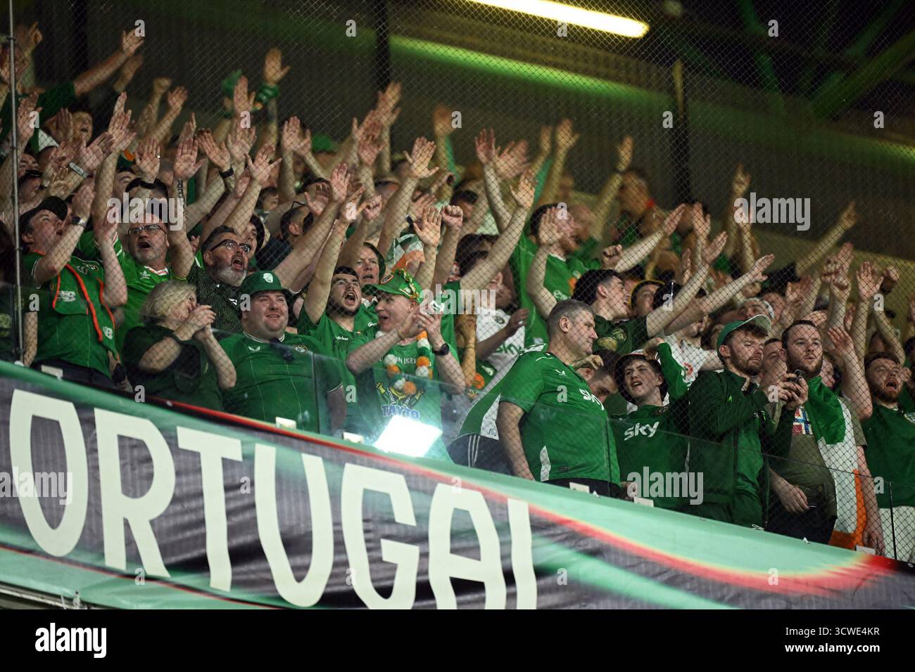 Republic of Ireland fans before the FIFA World Cup European Qualifying ...