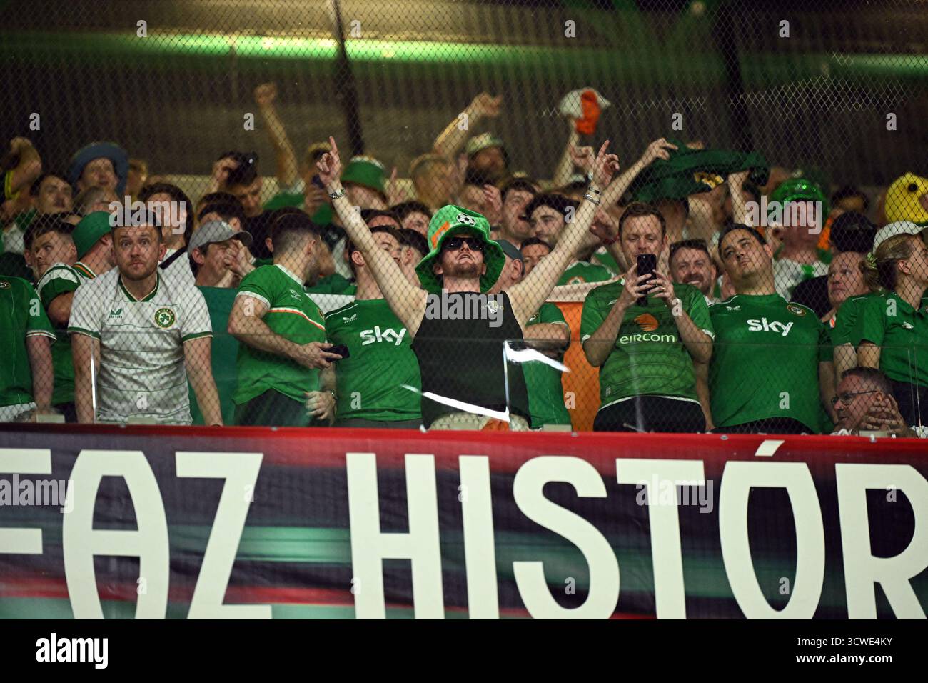 Republic of Ireland fans before the FIFA World Cup European Qualifying ...