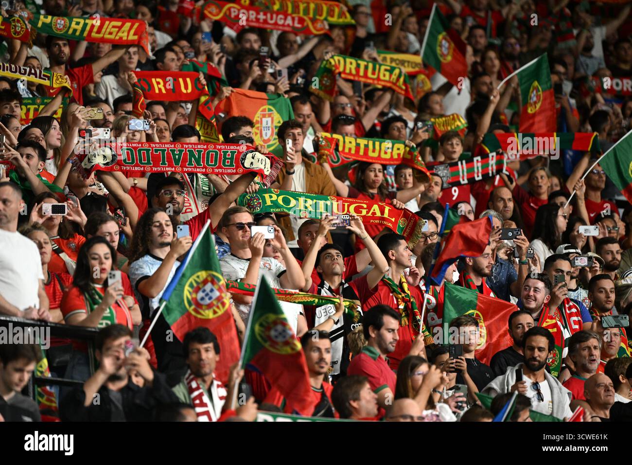 Portugal fans before the FIFA World Cup European Qualifying match at ...
