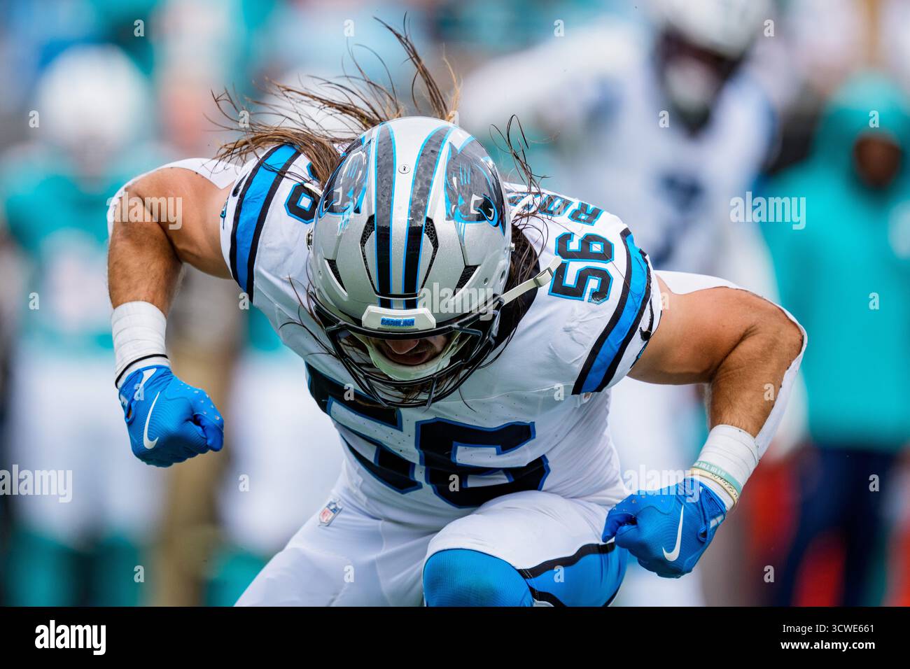 Carolina Panthers linebacker Christian Rozeboom (56) reacts during an ...