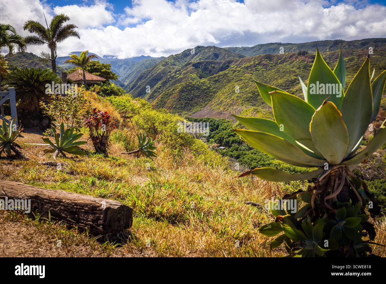 Mountain view near Kahakuloa on the Kahekili Highway in Maui, Hawaii in ...