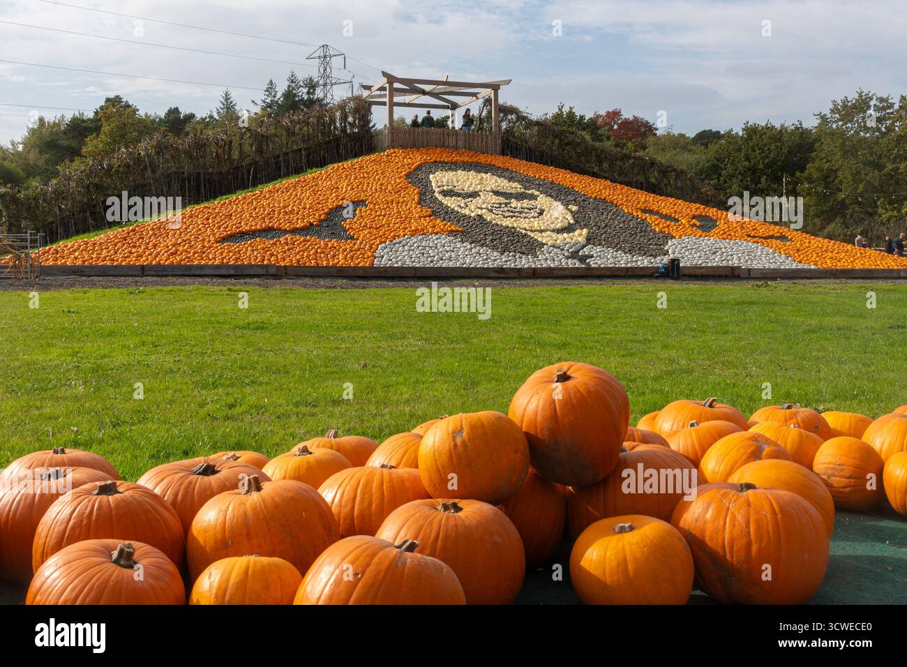 Large mural of ozzy osbourne made of pumpkins hi-res stock photography ...