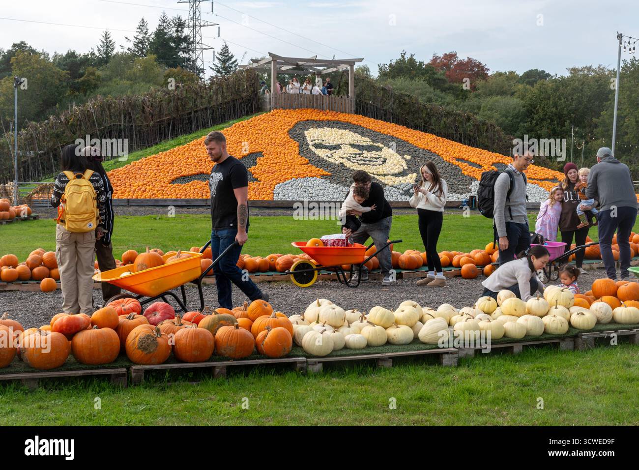 October 11th, 2025. Sunnyfields Farm Shop near Totton, Southampton ...