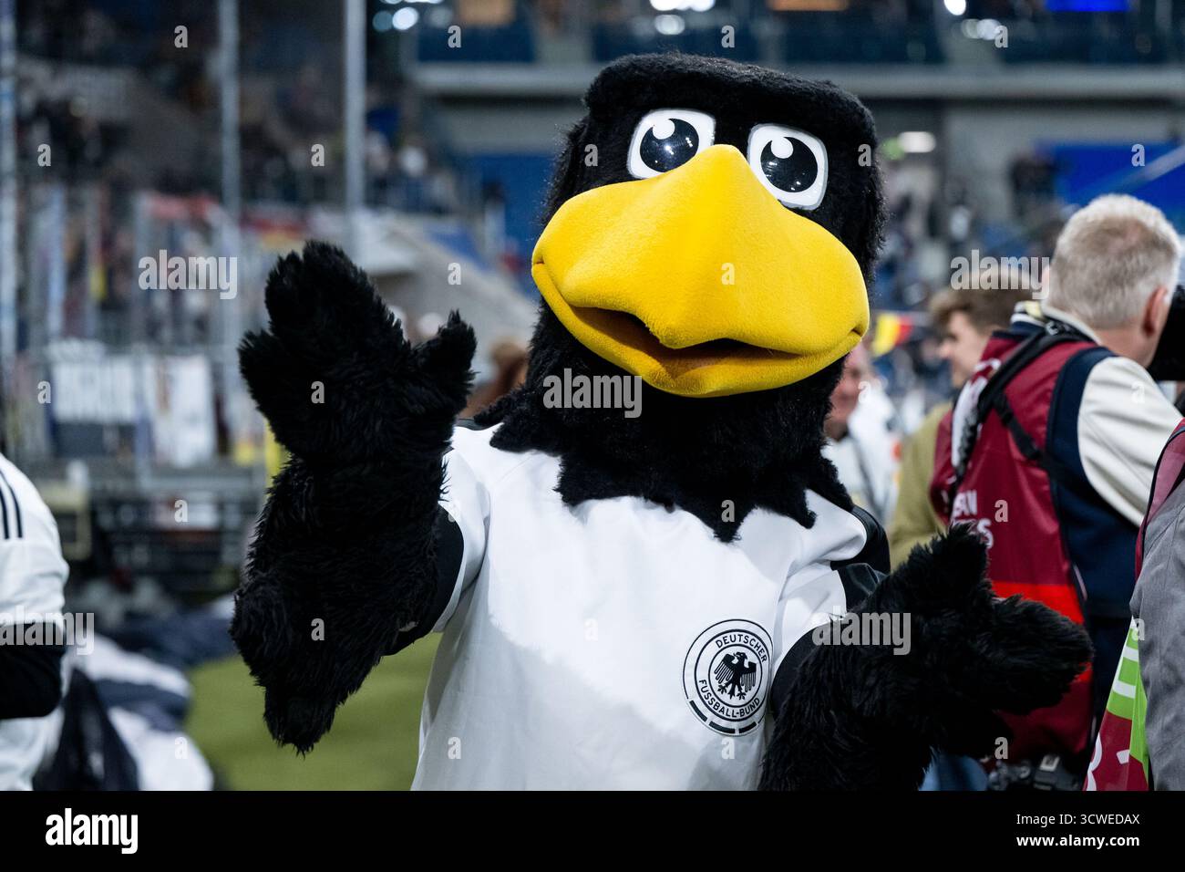 Maskottchen Adler Paule, GER, Deutschland vs. Luxemburg, Fussball ...