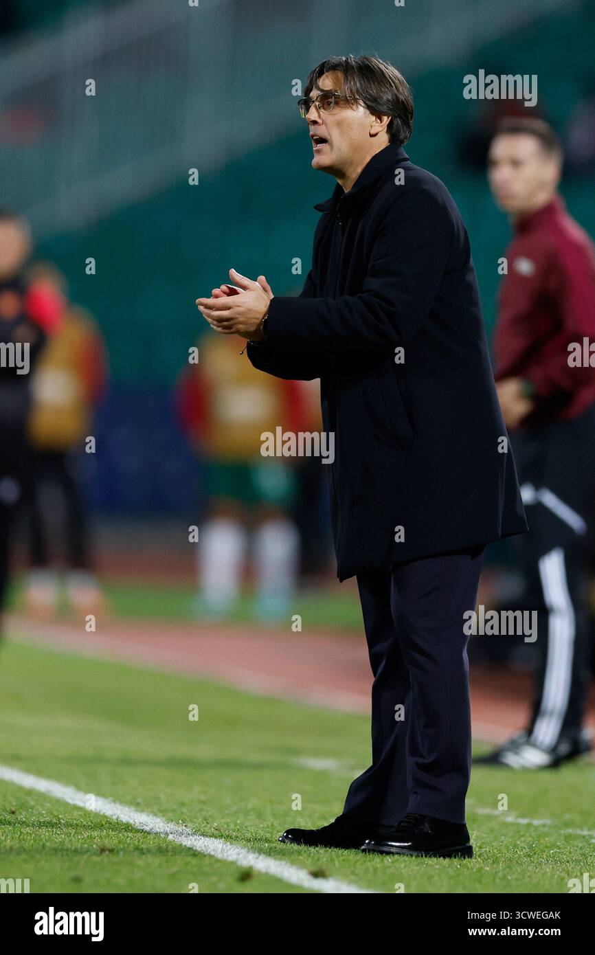 Turkey's coach Vincenzo Montella reacts during the World Cup Group E ...