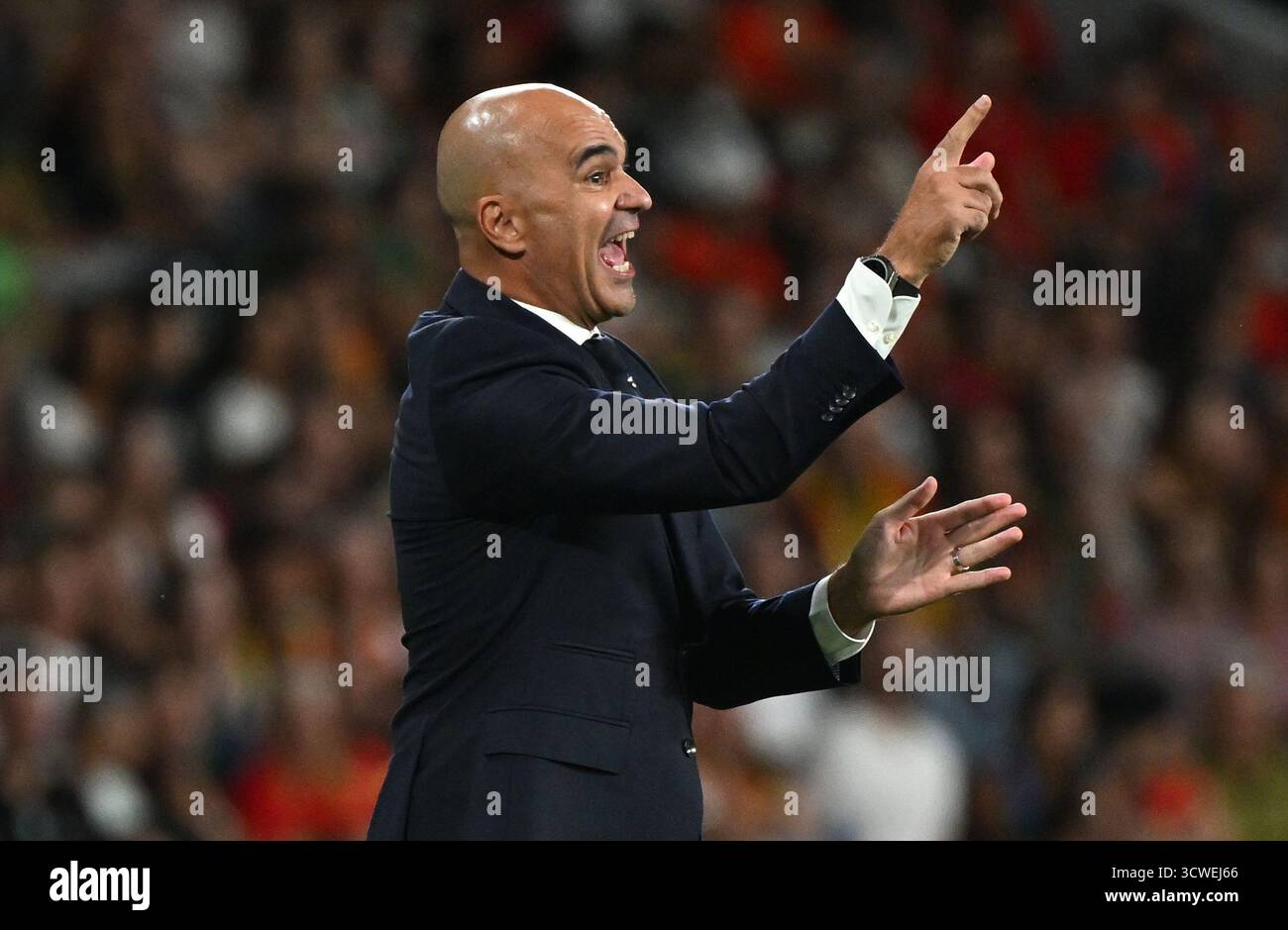 Portugal head coach Roberto Martinez reacts during the FIFA World Cup ...