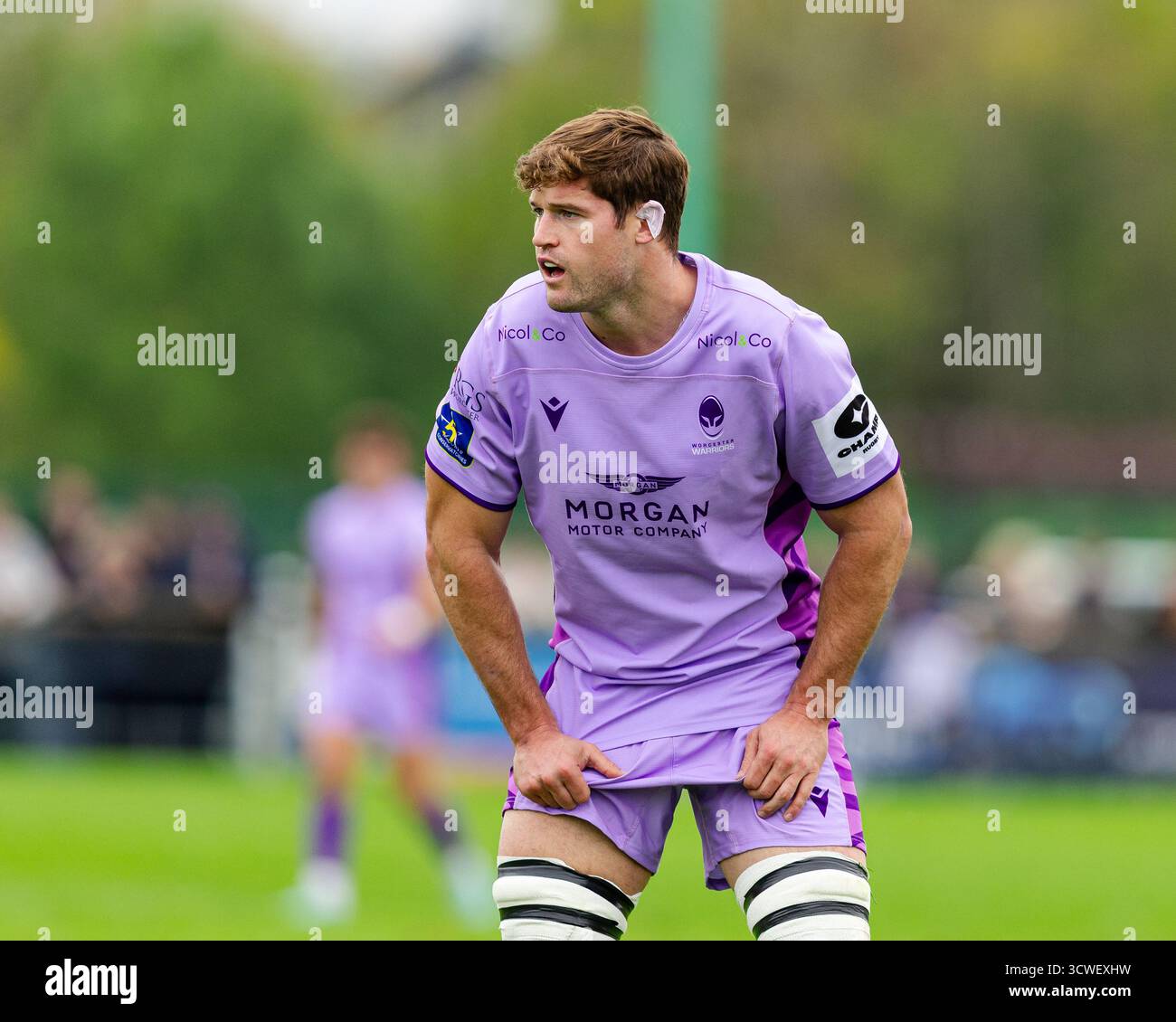 Tier 2 rugby hi-res stock photography and images - Alamy