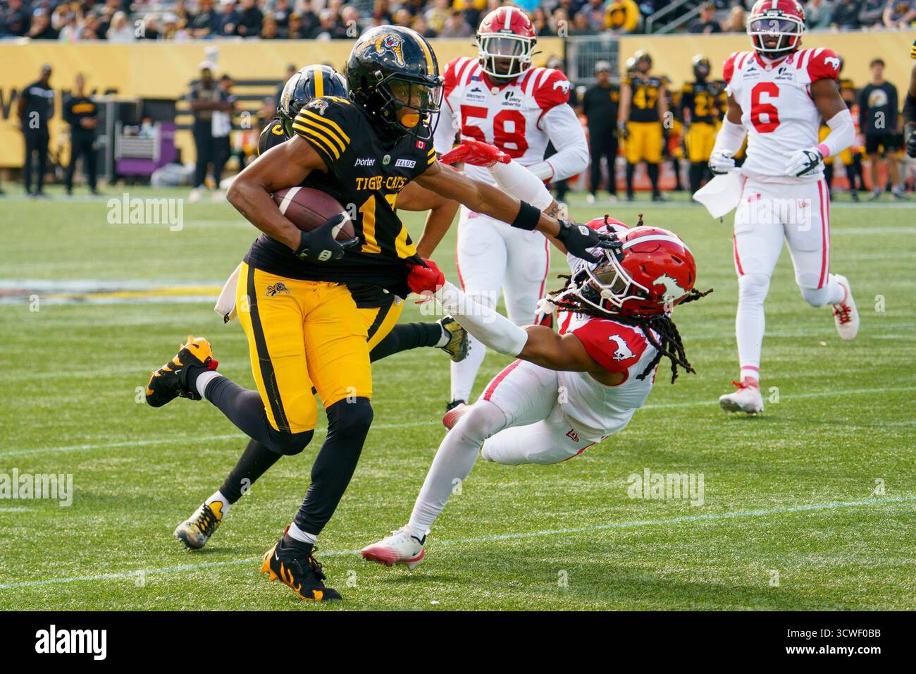 Hamilton Tiger-Cats wide receiver Tim White (12) fends off Calgary ...
