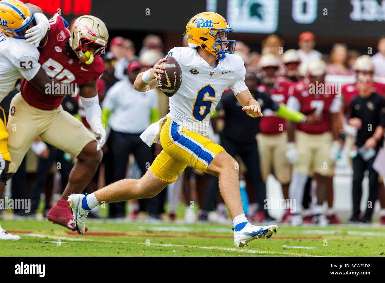 Pittsburgh quarterback Mason Heintschel (6) runs during the first half ...