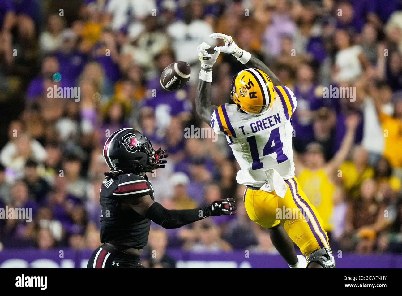 LSU tight end Trey'Dez Green (14) can't catch a pass as he is defended ...